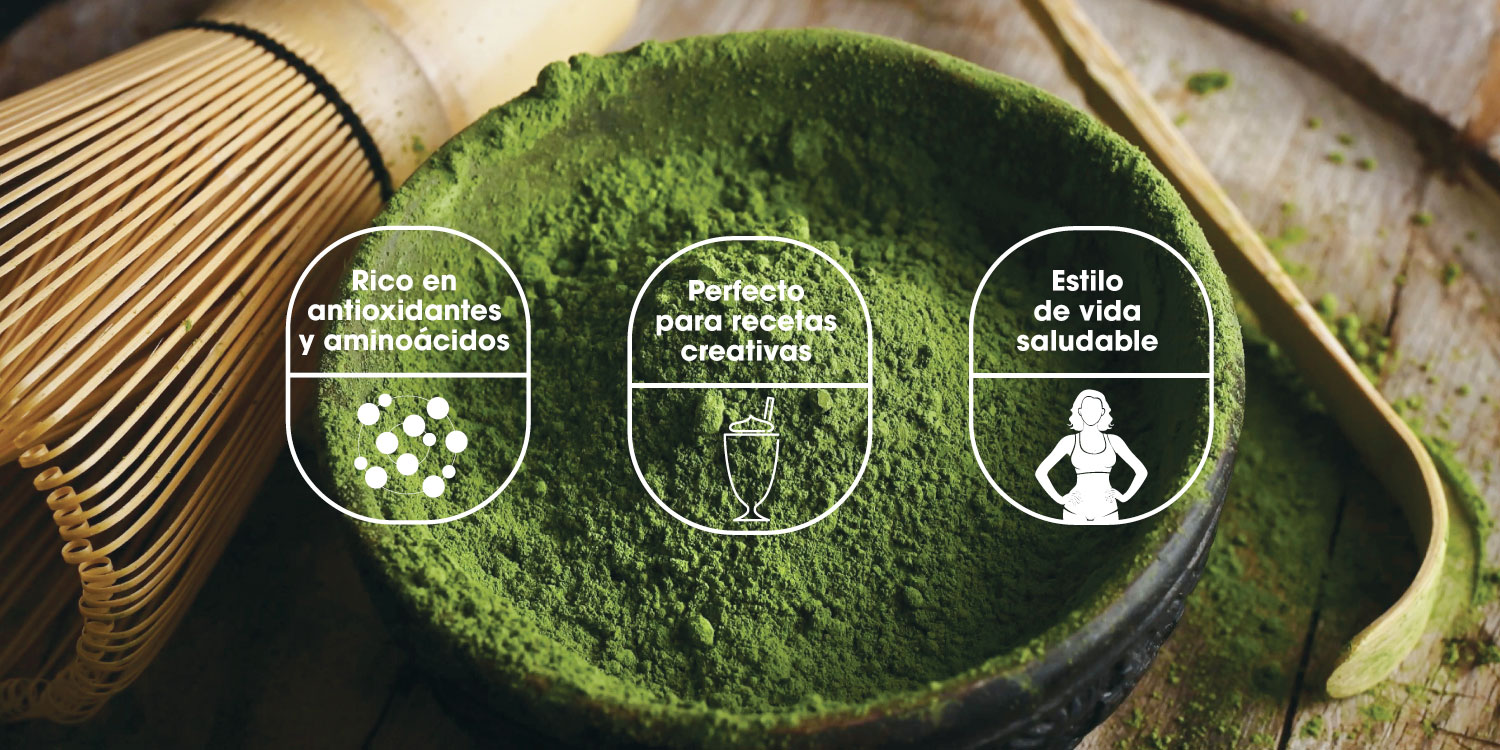 Té Matcha Historia: Origen y Beneficios para la Salud